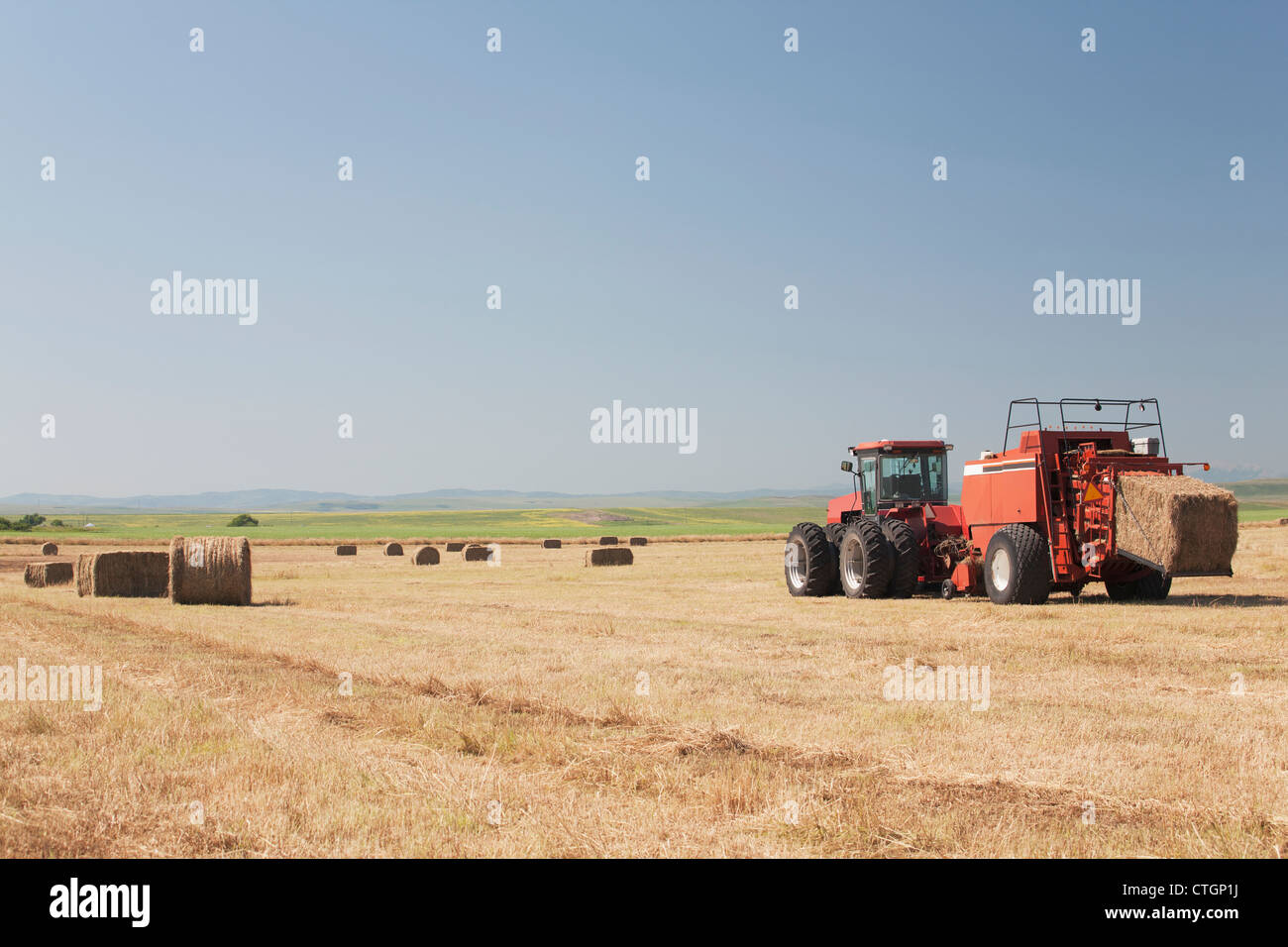 Open country field in alberta hi-res stock photography and images - Alamy