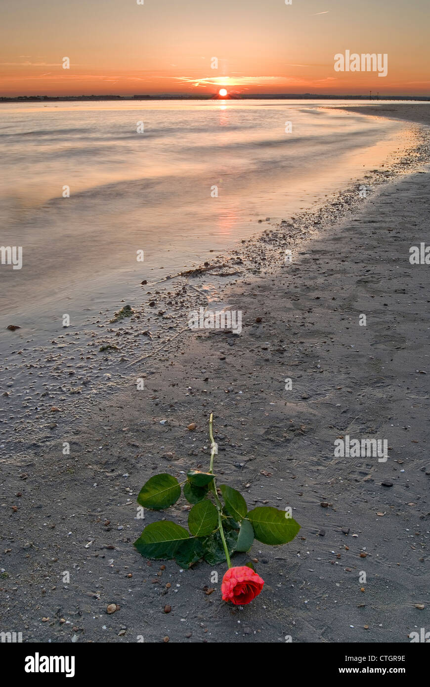 Rose sunset hi-res stock photography and images - Alamy