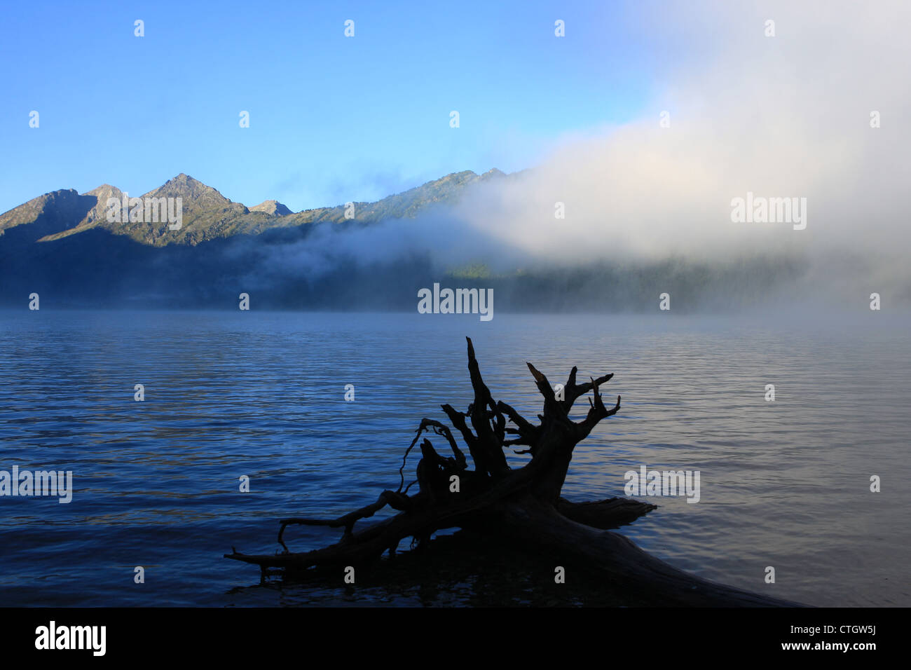 Morning landscape with mist and snag, Lake Mountains Stock Photo - Alamy