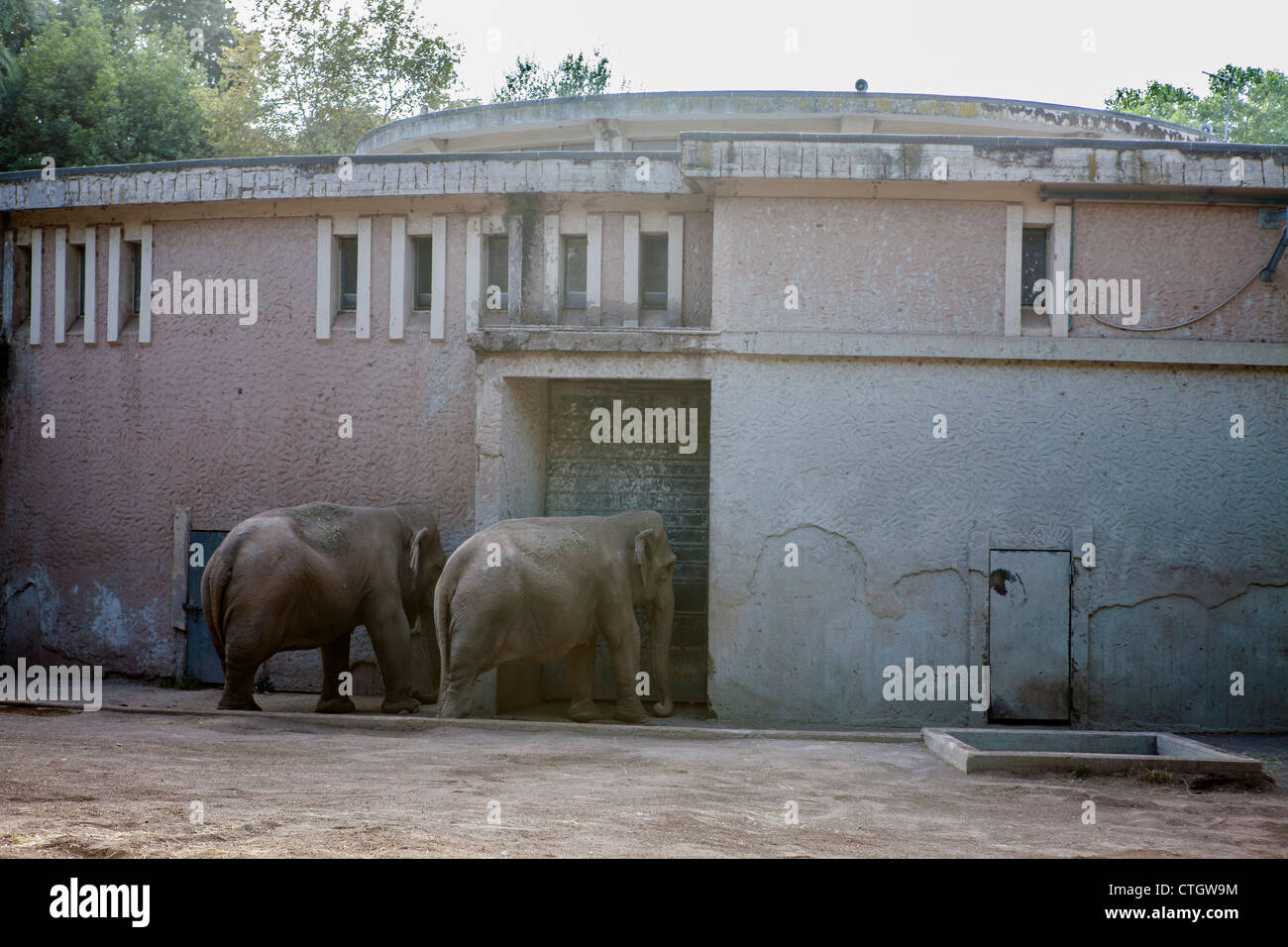 Entrance bioparco di roma hi-res stock photography and images - Alamy