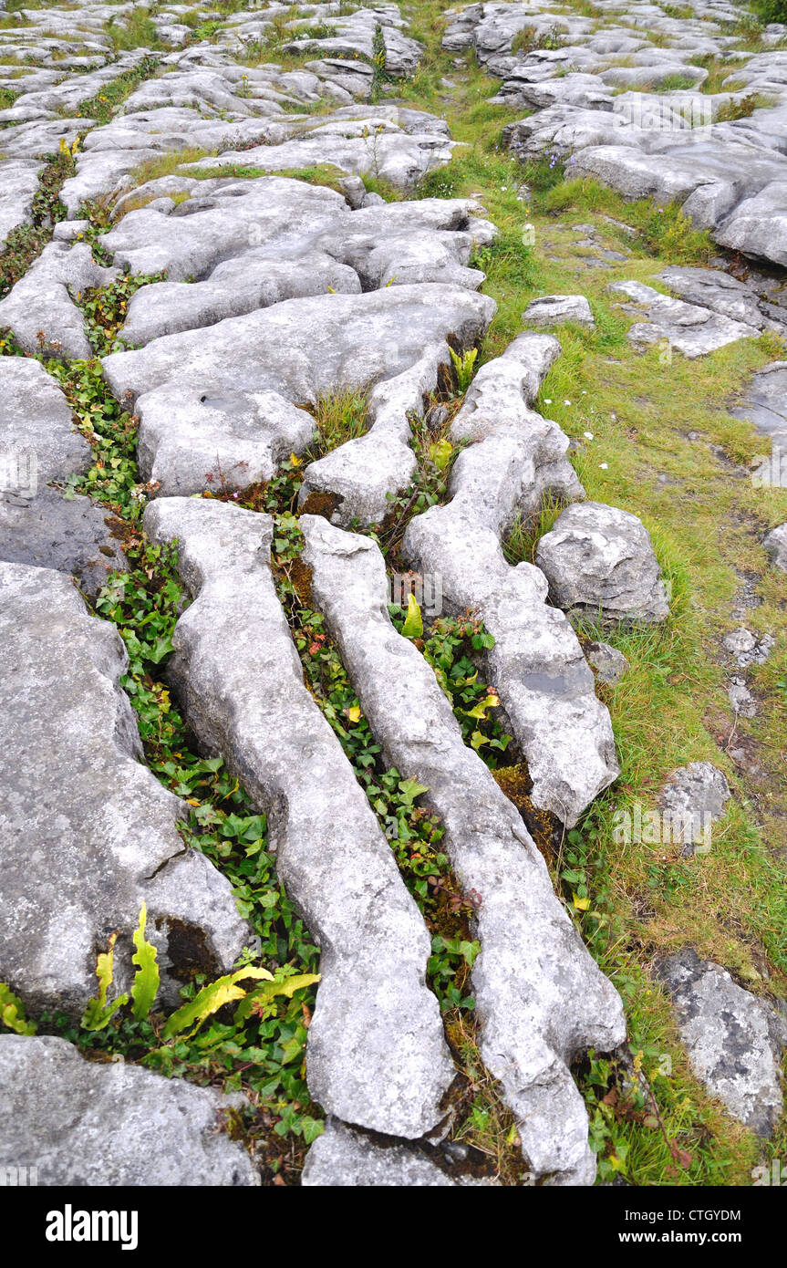 The Burren County Clare Ireland Curry