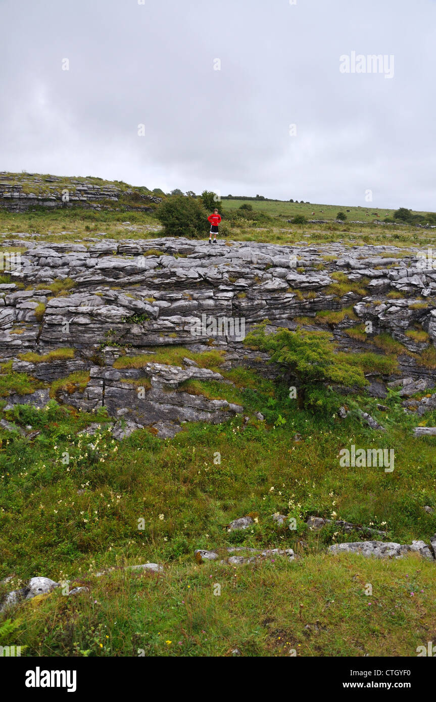 The Burren County Clare Ireland Stock Photo - Alamy