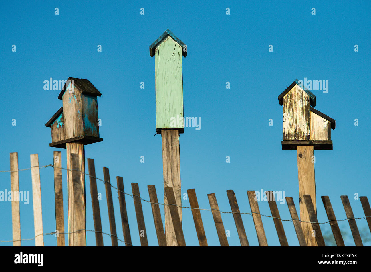 Three birdhouses hi-res stock photography and images - Alamy