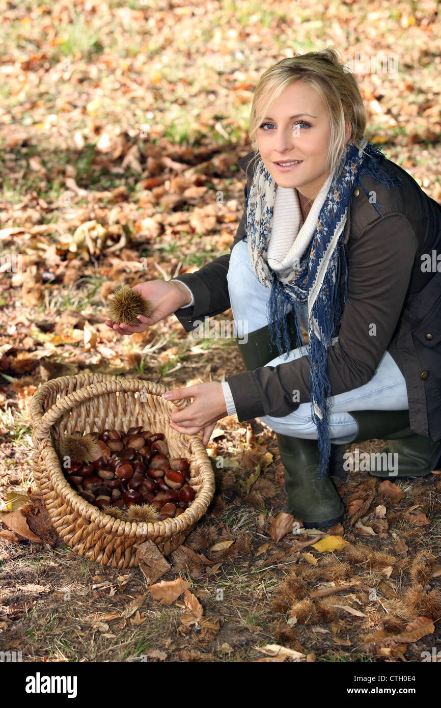 woman picking chestnuts in woods Stock Photo - Alamy