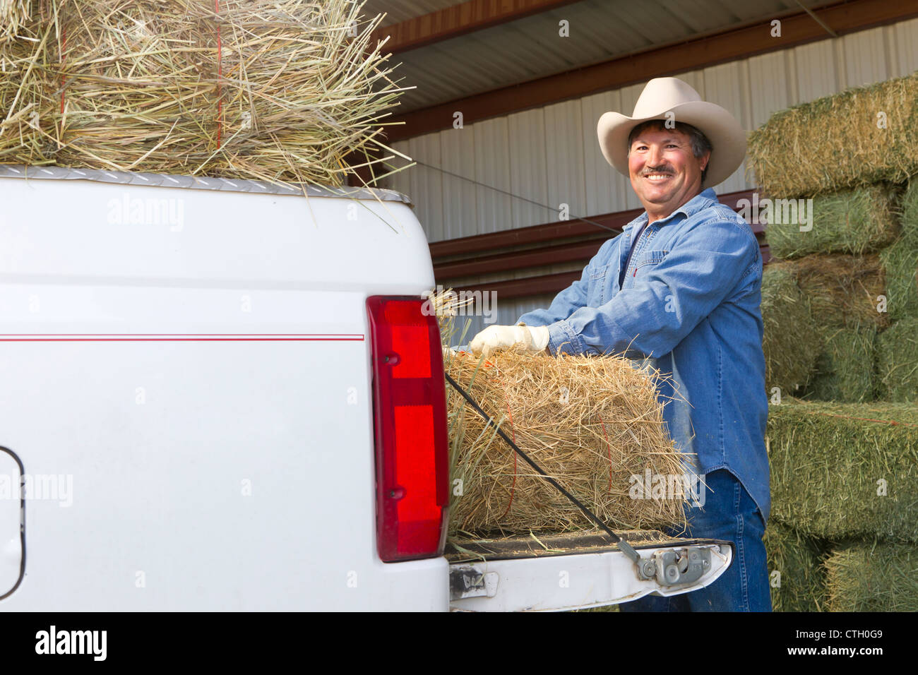 Hispanic man loading hay onto truck Stock Photo - Alamy