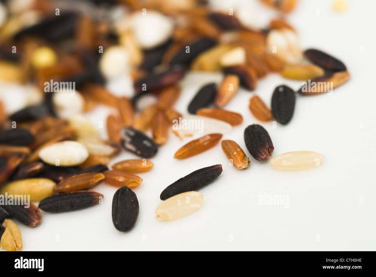 Brown wild rice hi-res stock photography and images - Alamy