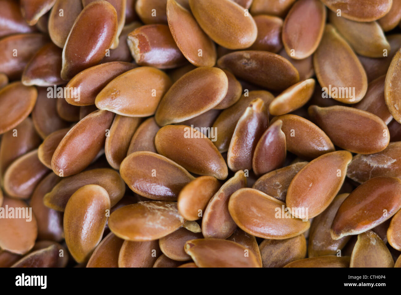 Flax Seed High Resolution Stock Photography and Images - Alamy