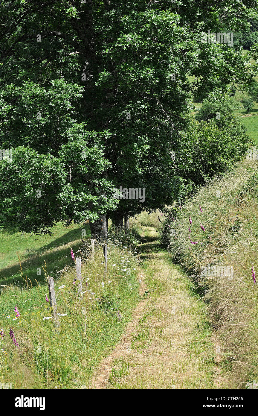 path in countryside Forez Auvergne France Stock Photo - Alamy