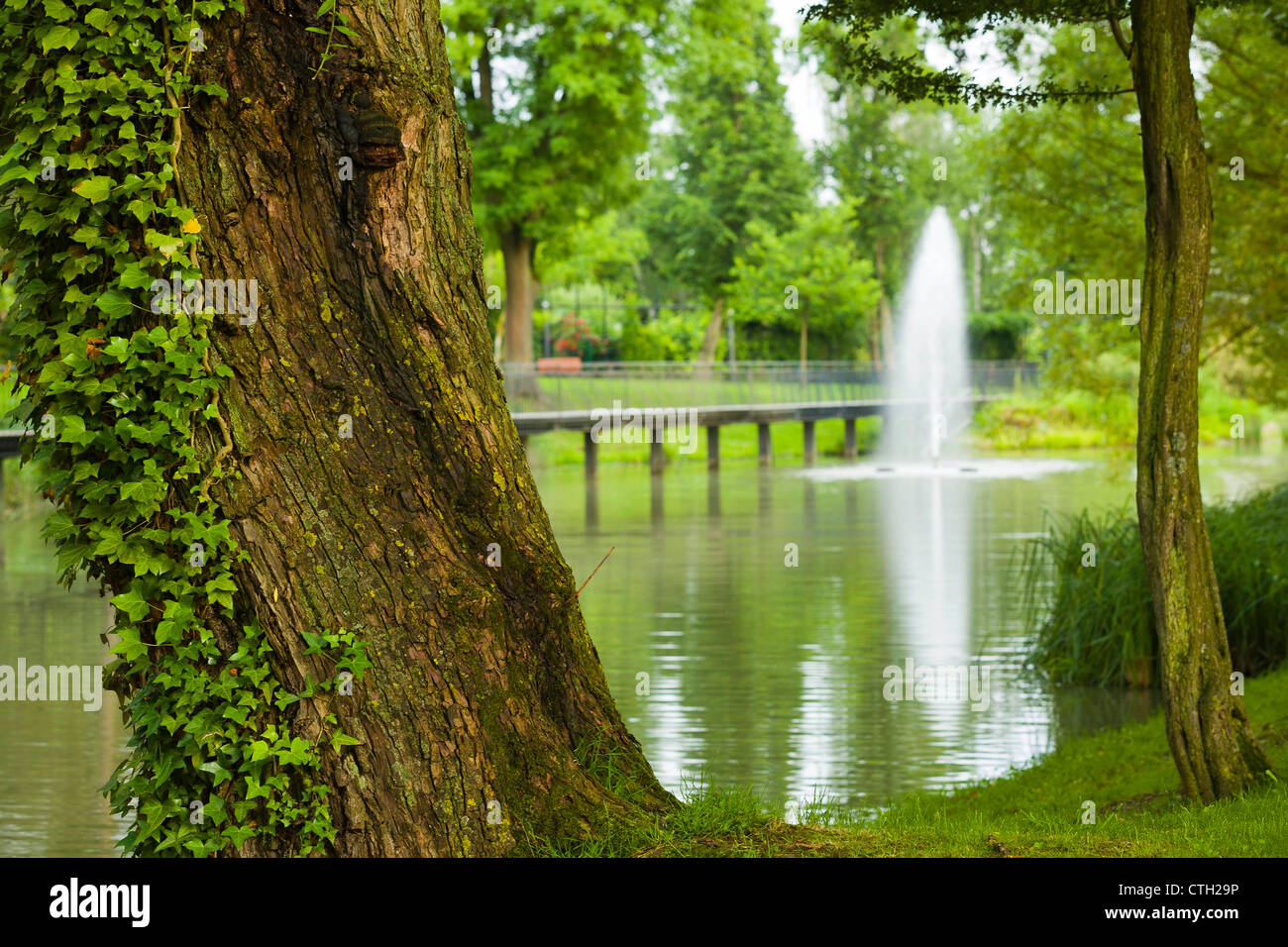 Jacquinot park hi-res stock photography and images - Alamy