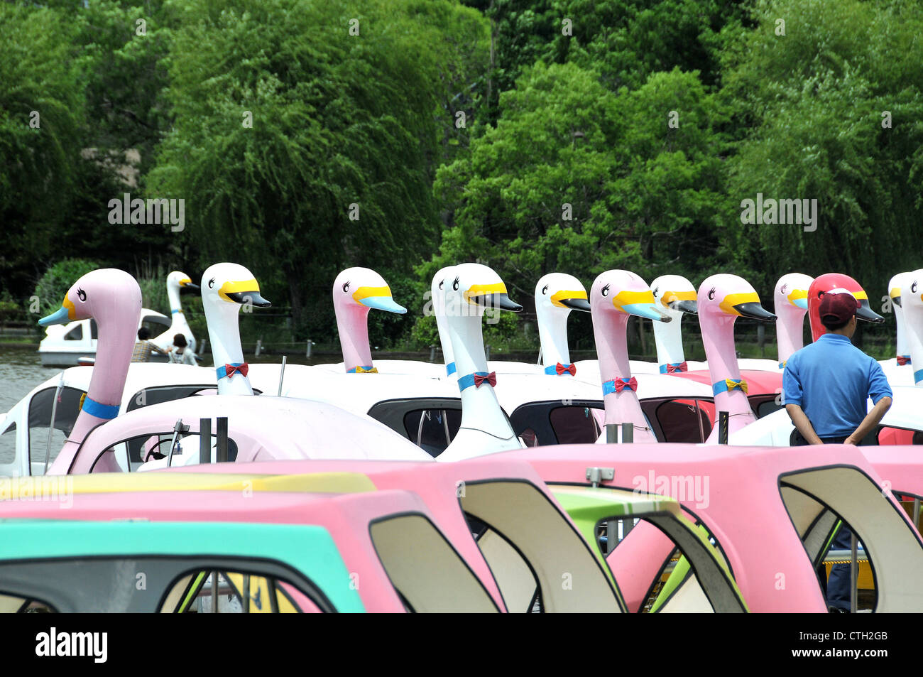 duck boat Ueno Tokyo Japan Asia Stock Photo - Alamy