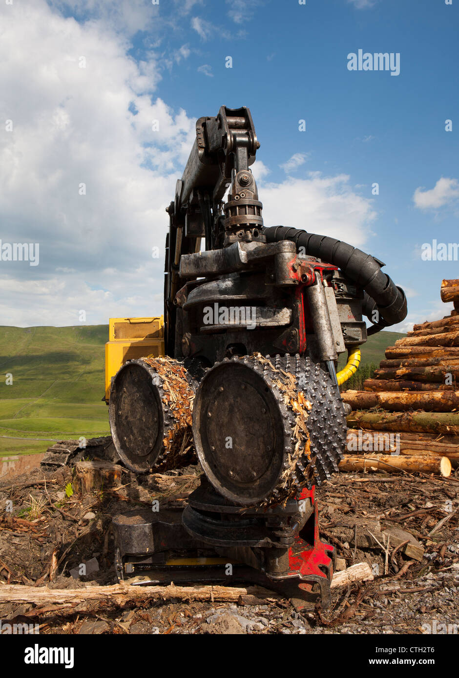 Timber producing plantation hi-res stock photography and images - Alamy