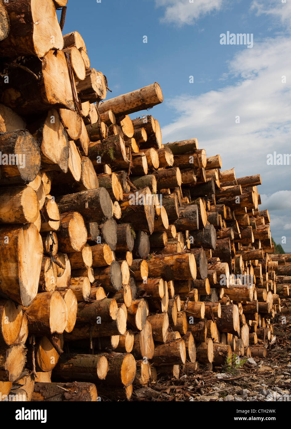 "High Houses" High Houses Forest in Snaizeholme off Widdale Timber ...
