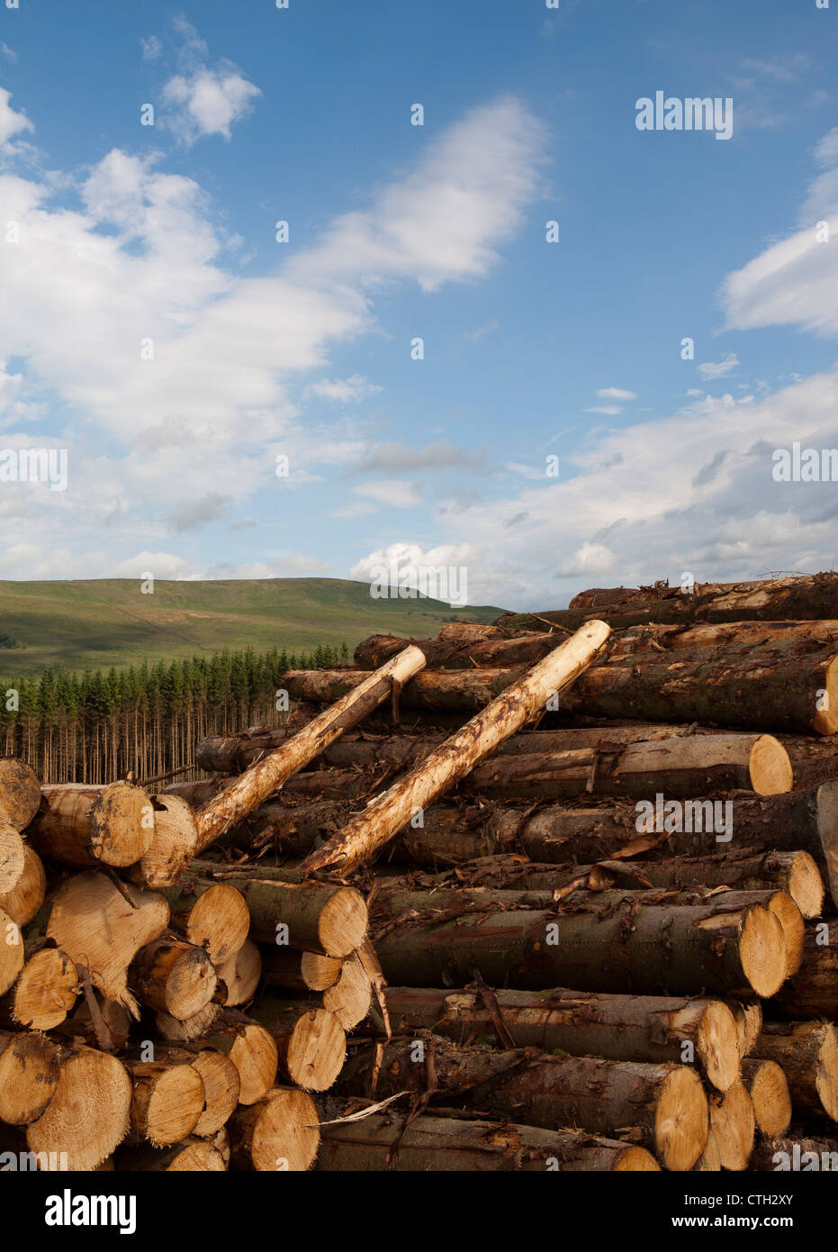 "High Houses" High Houses Forest in Snaizeholme off Widdale Timber ...