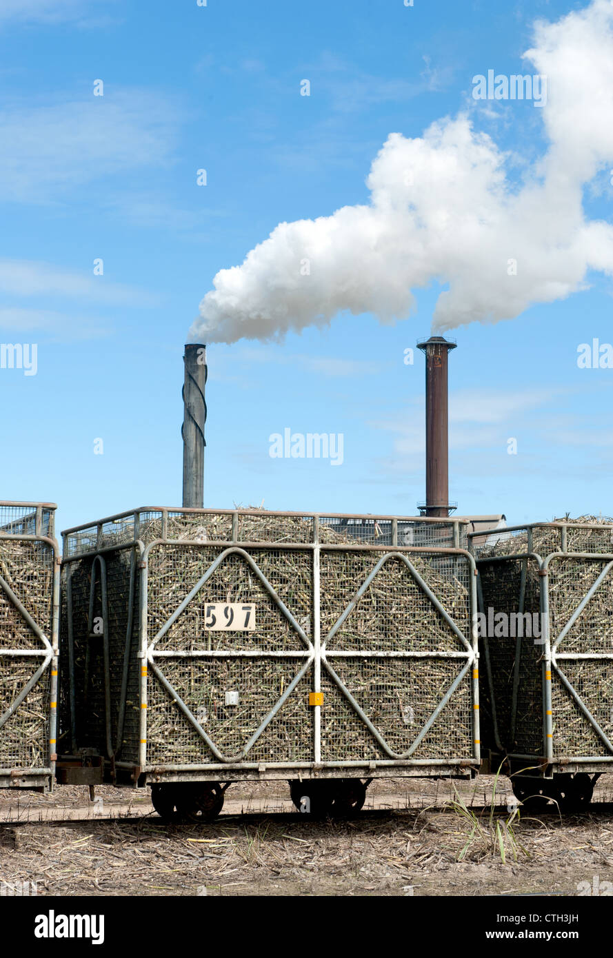 Sugar cane transported in bins on rail to the Tully Sugar mill in Tully ...