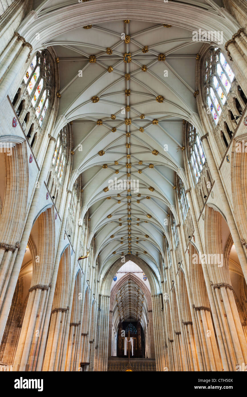 England, Yorkshire, York, York Minster, The Nave Stock Photo - Alamy