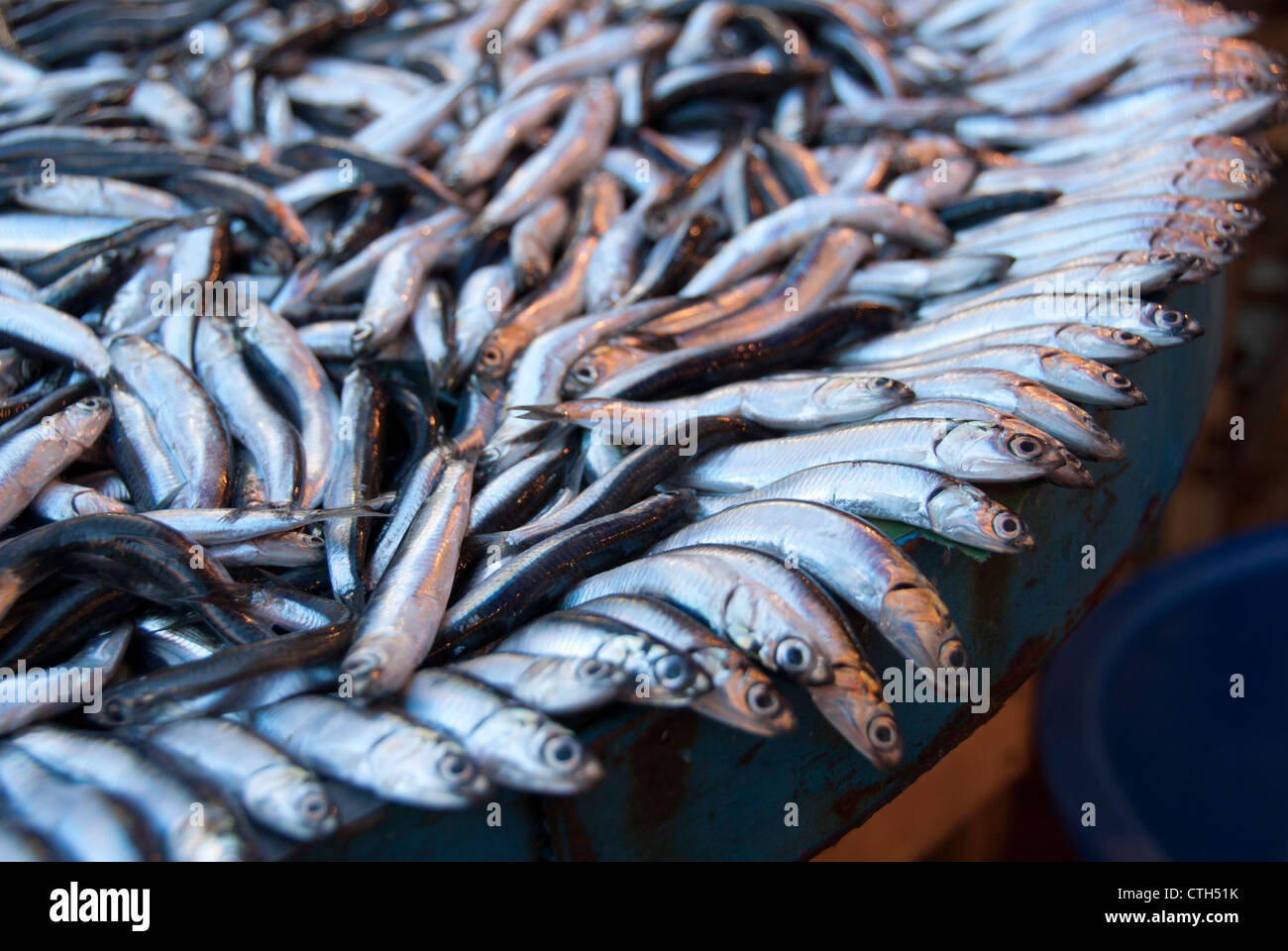 Fish Market, Istanbul, Turkey Stock Photo - Alamy