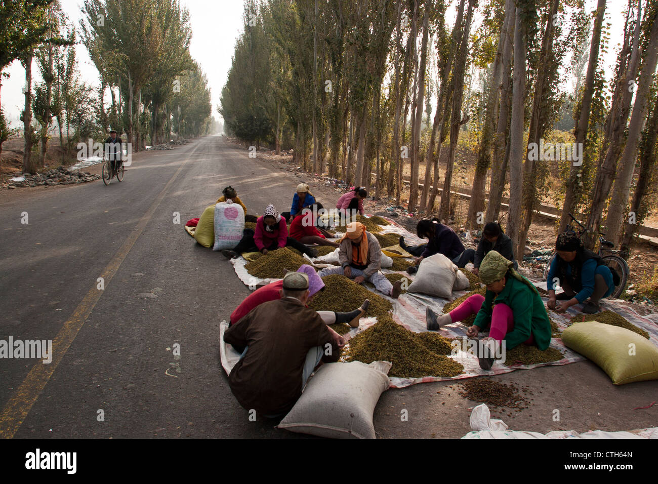 Uyghur woman turpan xinjiang hi-res stock photography and images - Alamy