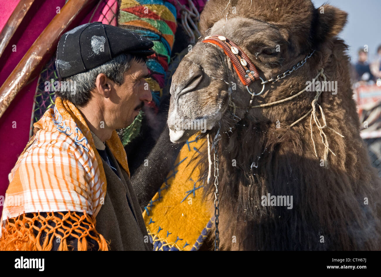 Camel handler hi-res stock photography and images - Alamy