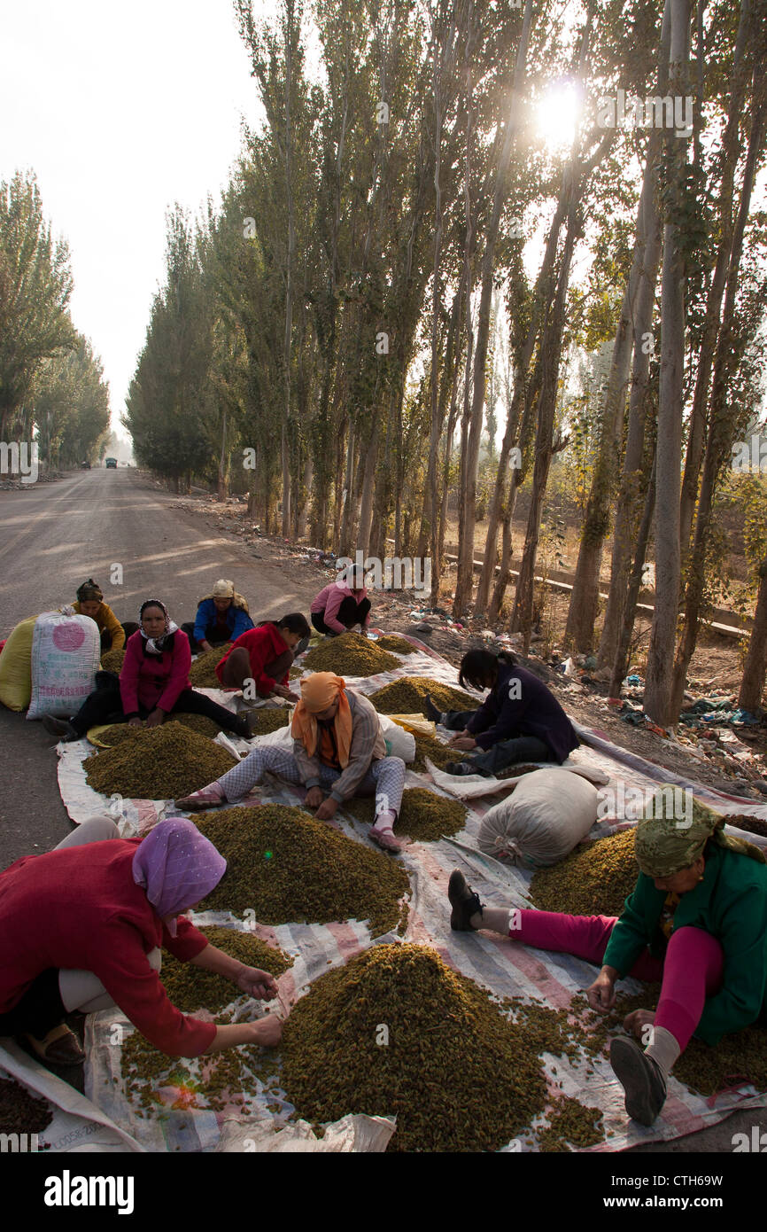Uyghur woman turpan xinjiang hi-res stock photography and images - Alamy