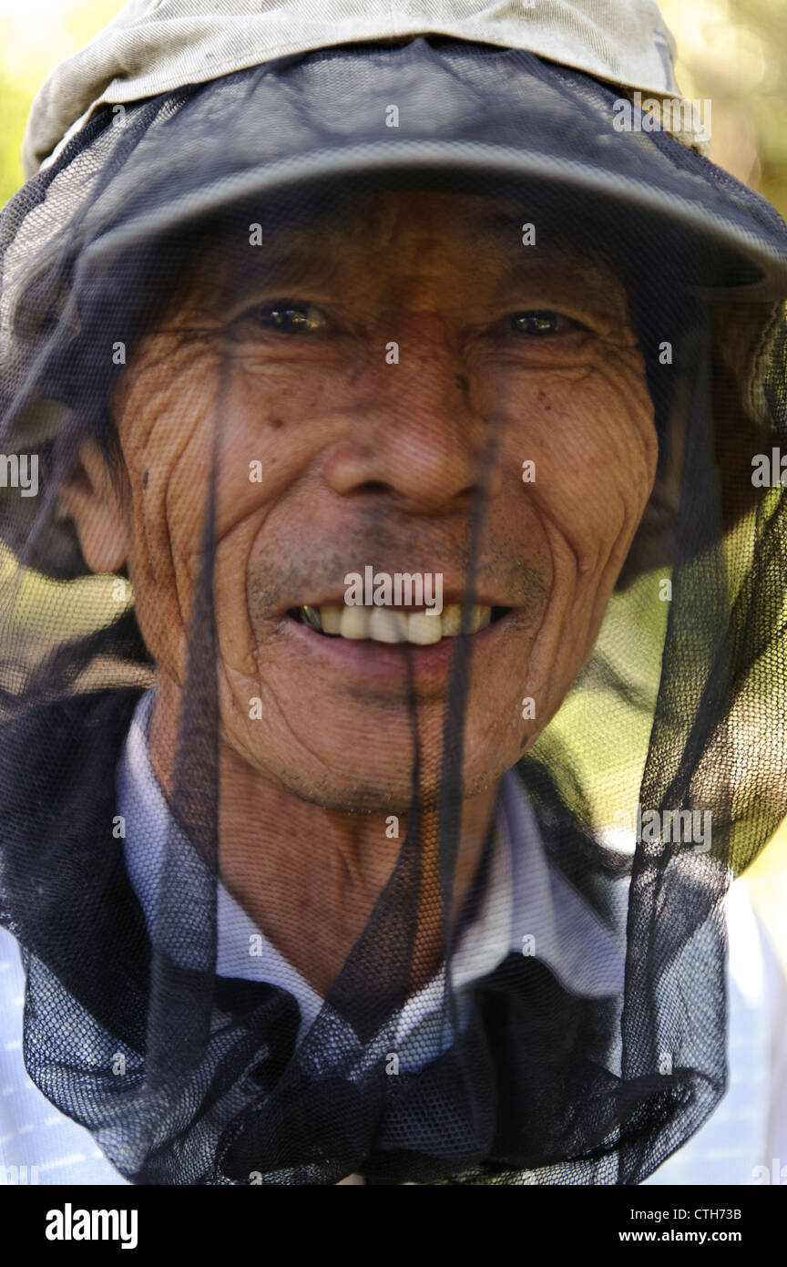 Tominaga hi-res stock photography and images - Alamy