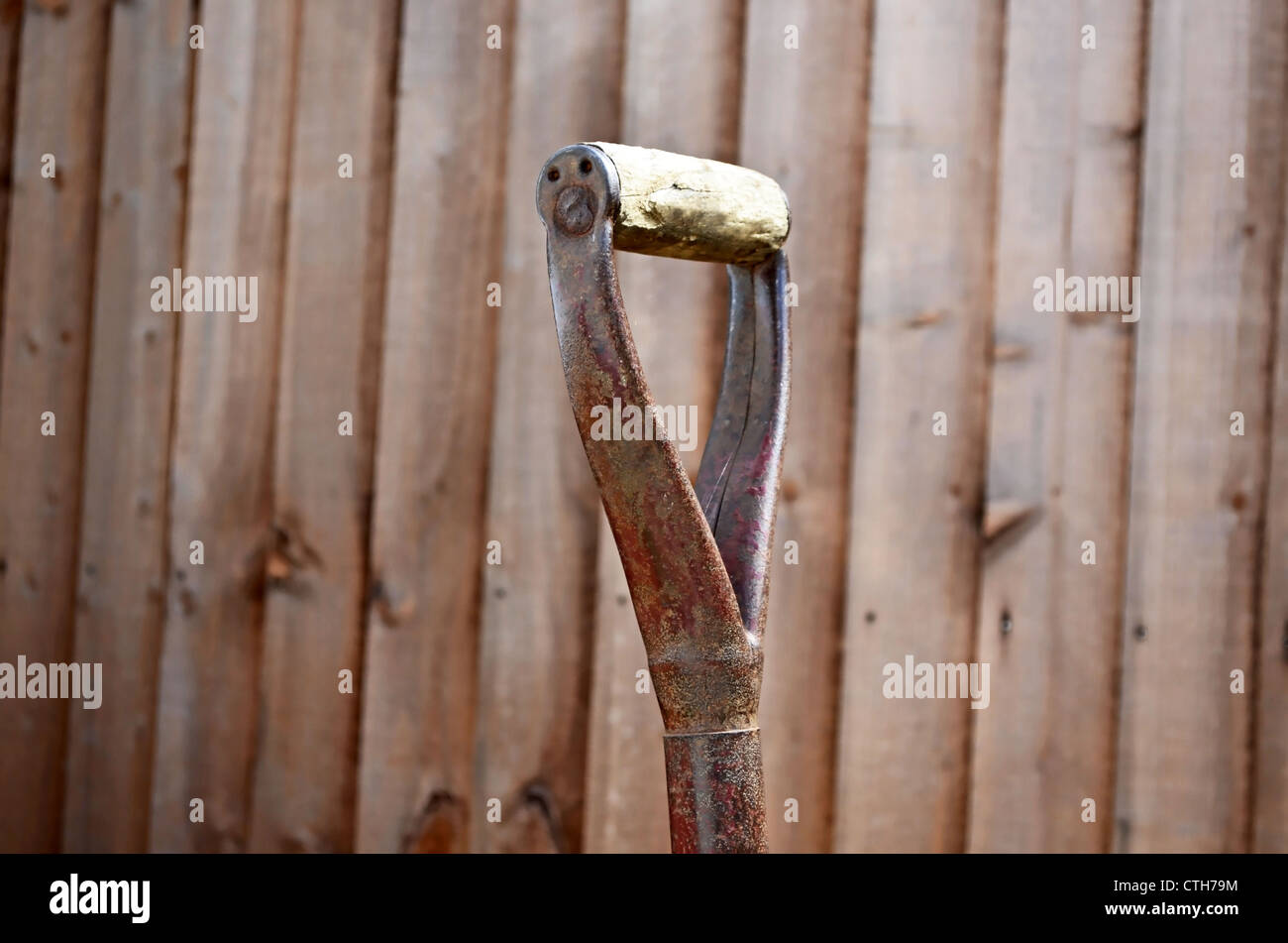 Veg Art High Resolution Stock Photography and Images - Alamy