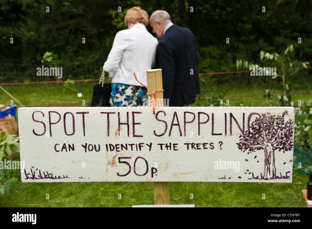 Uk tree identification hi-res stock photography and images - Alamy