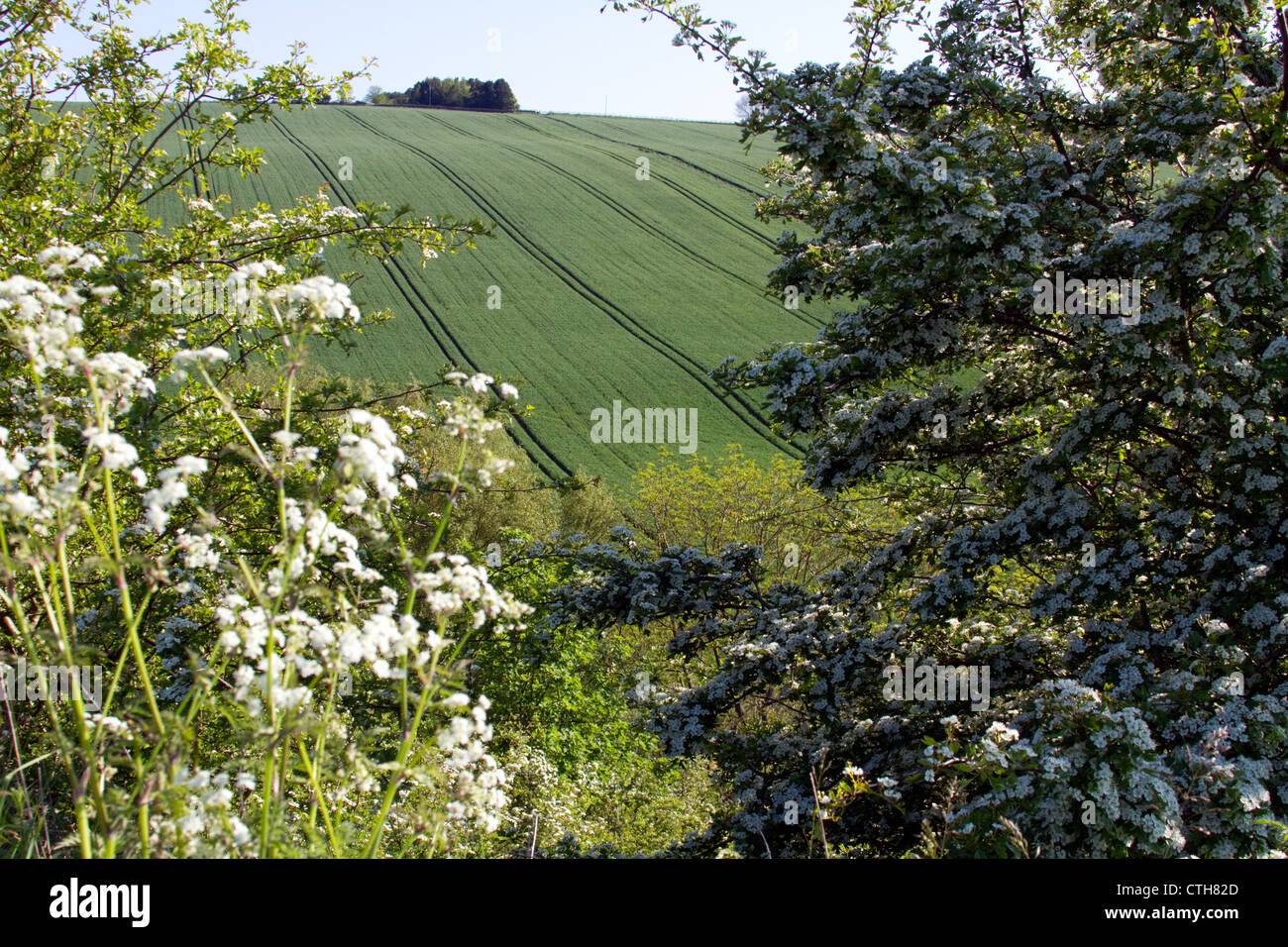 Lanchester durham hi-res stock photography and images - Alamy