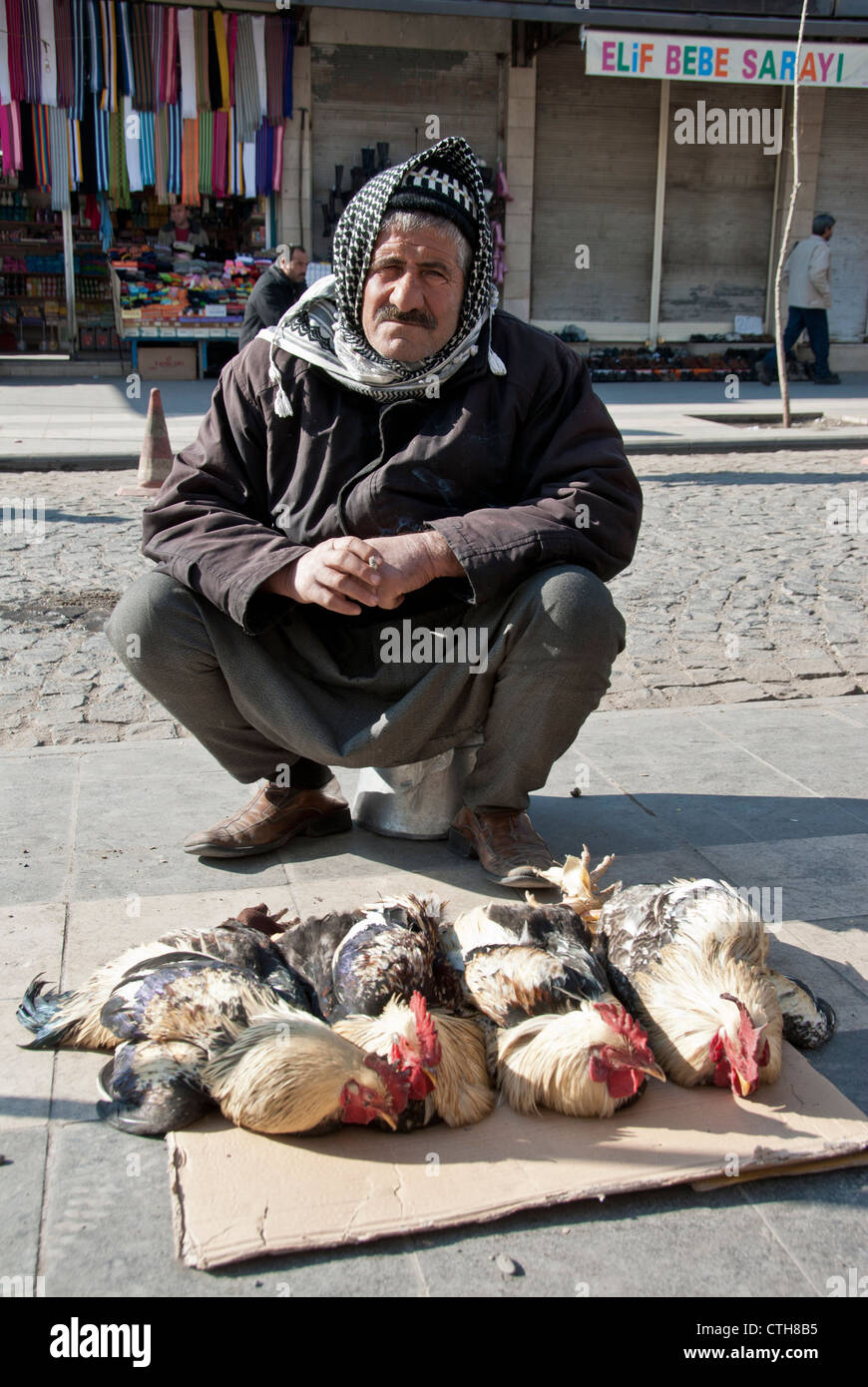 Street vendor selling chickens hi-res stock photography and images - Alamy
