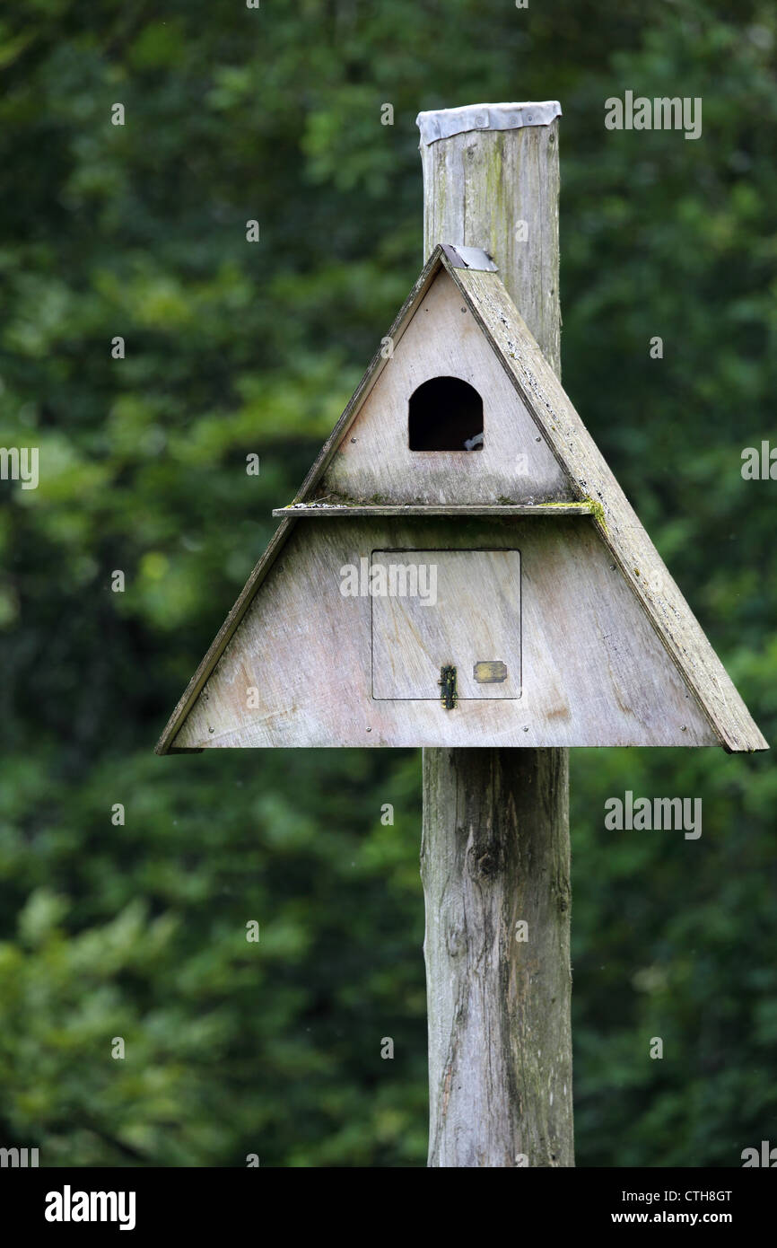 Owl post box hi-res stock photography and images - Alamy