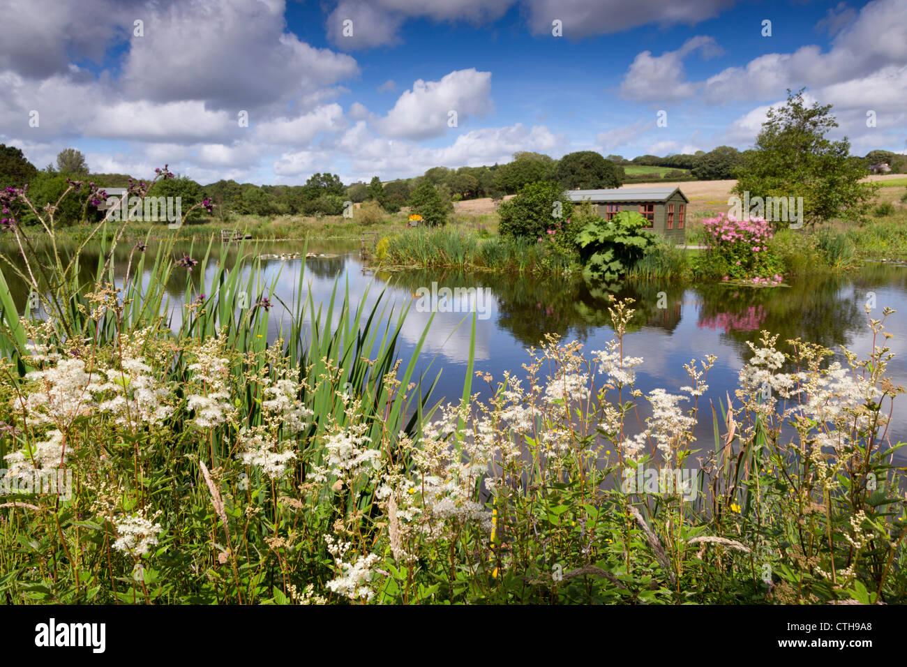 Wildlife pond uk hi-res stock photography and images - Alamy