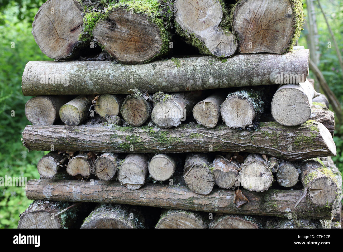 Log Pile; UK Stock Photo - Alamy