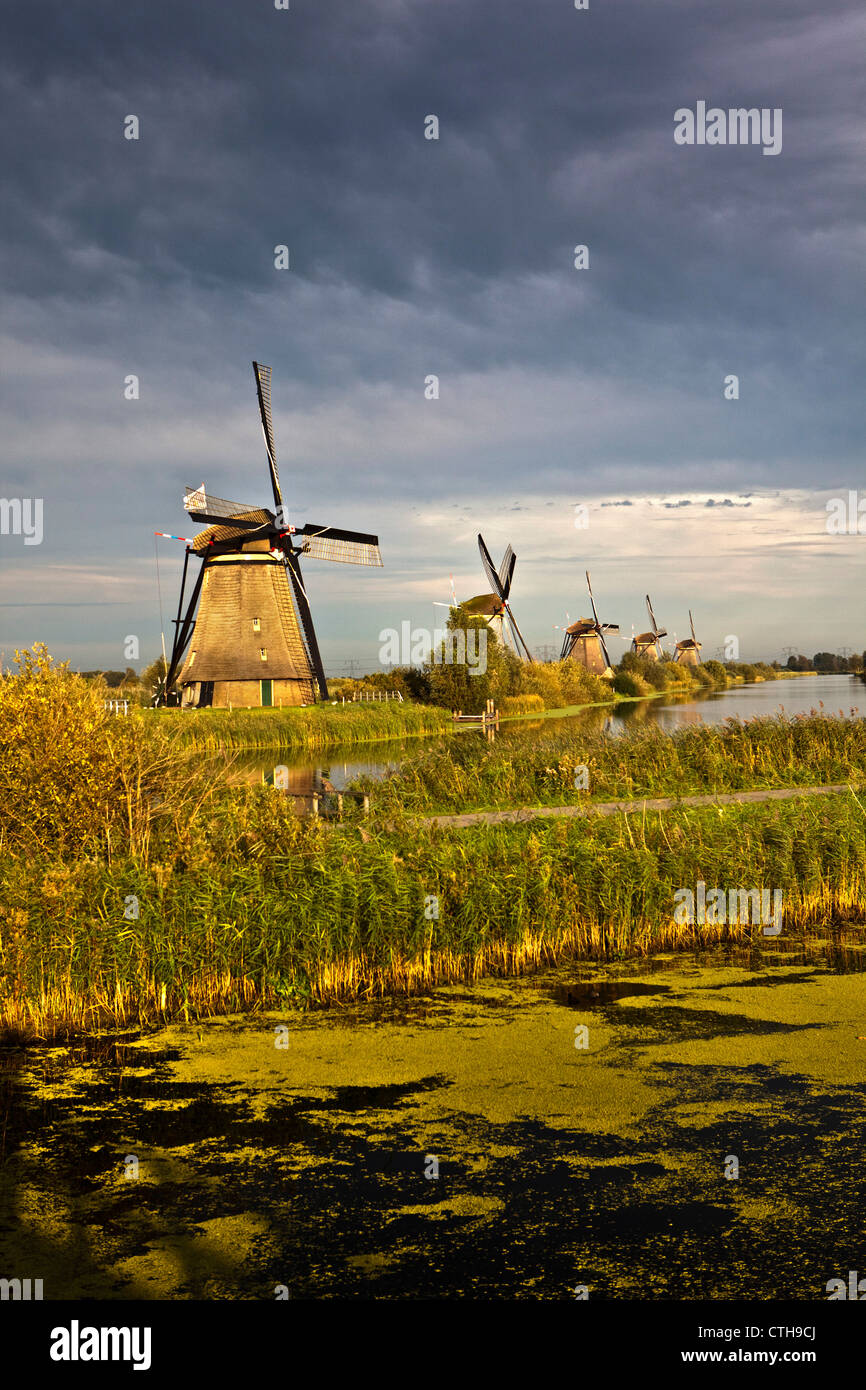 The Netherlands, Kinderdijk, Windmills situated in the Alblasserwaard ...