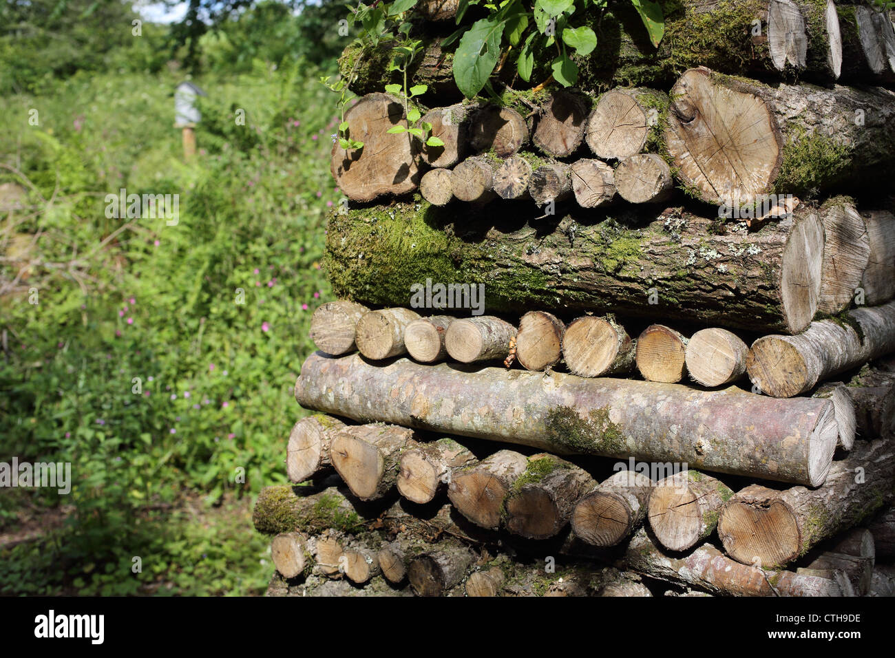 Pile Of Log High Resolution Stock Photography and Images - Alamy