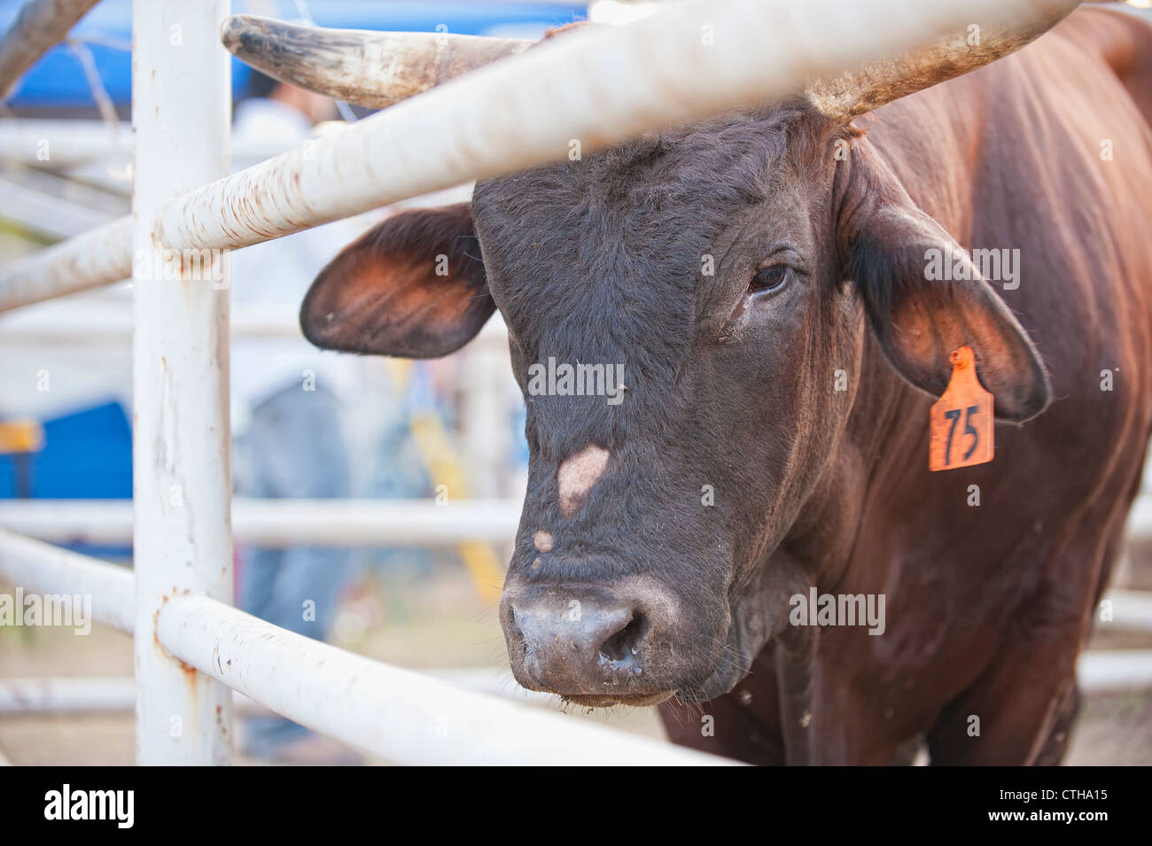 Number tag hi-res stock photography and images - Alamy