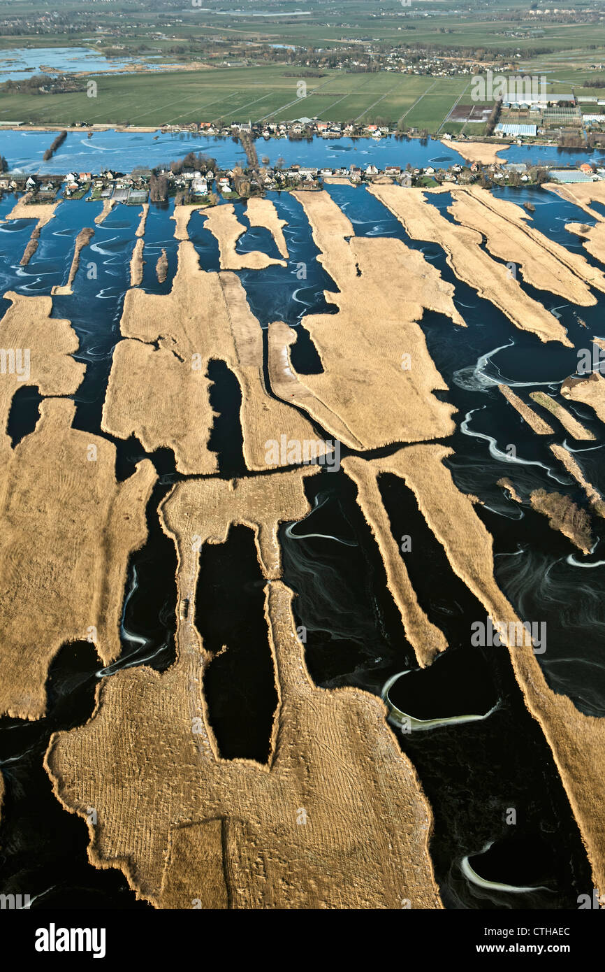 The Netherlands, Noorden, near Nieuwkoop, Lakes called Nieuwkoopse ...