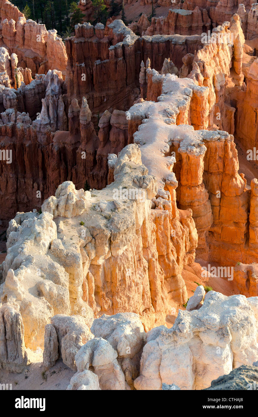 red rocks at Sunrise in Bryce Canyon National Park in Utah in the ...