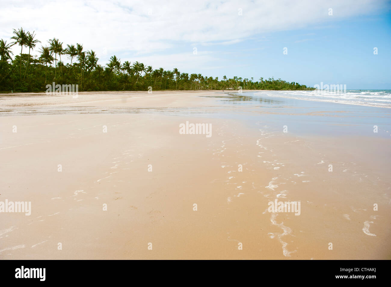 Looking north at palm-fringed sandy Wongaling beach at low tide ...