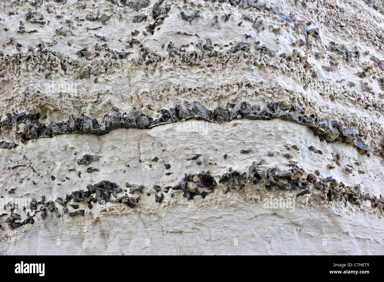 Rock layers containing flint / chert exposed in chalk cliff by erosion ...