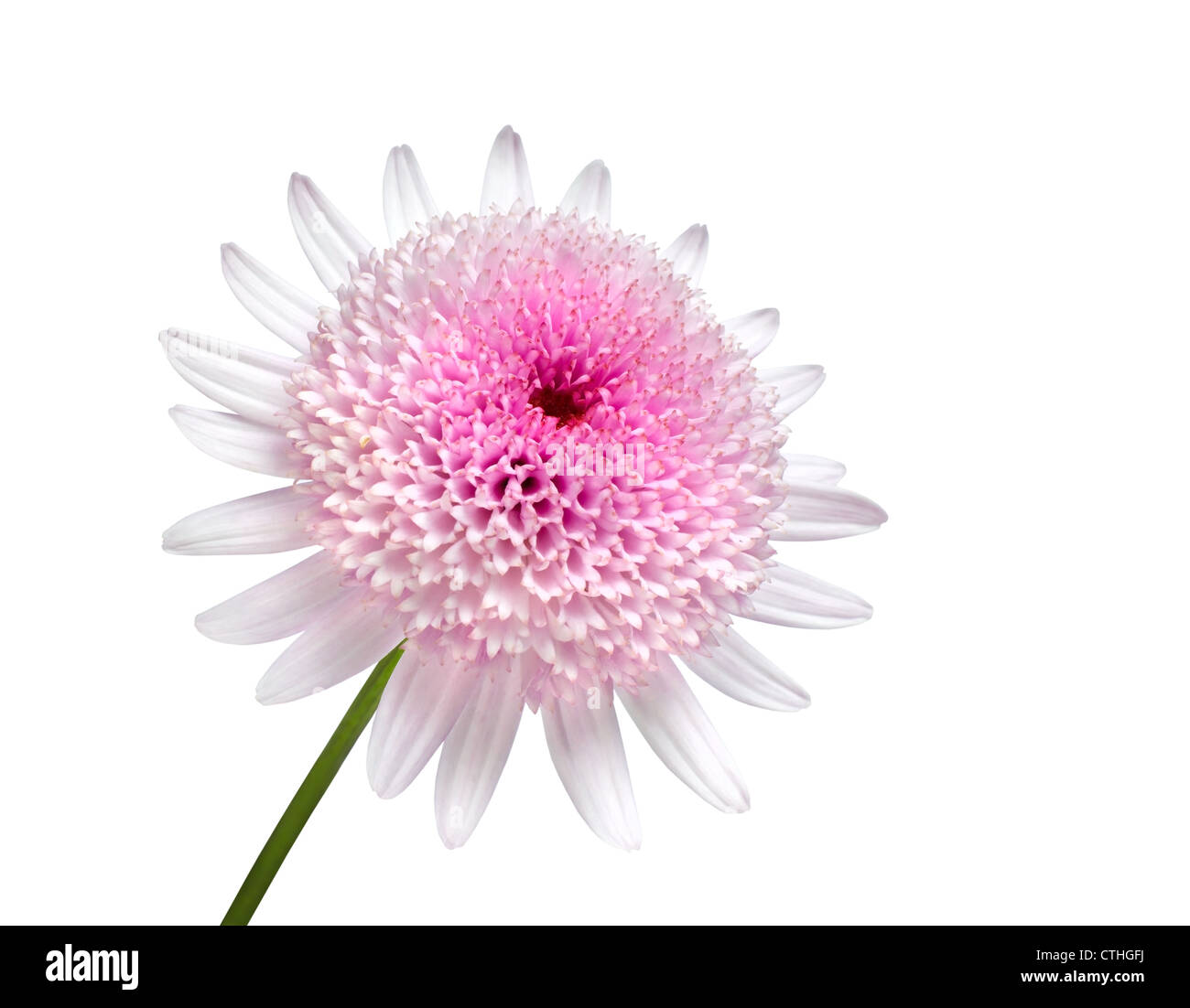 Pure wh hi-res stock photography and images - Alamy