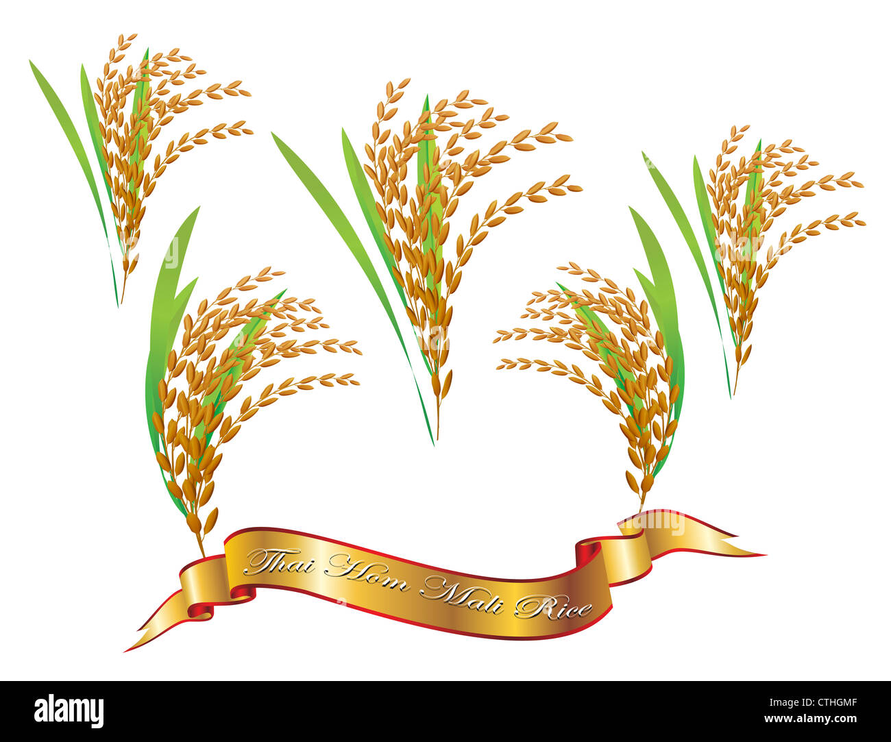 Thai white rice 0n white background with golden ribbon Stock Photo - Alamy