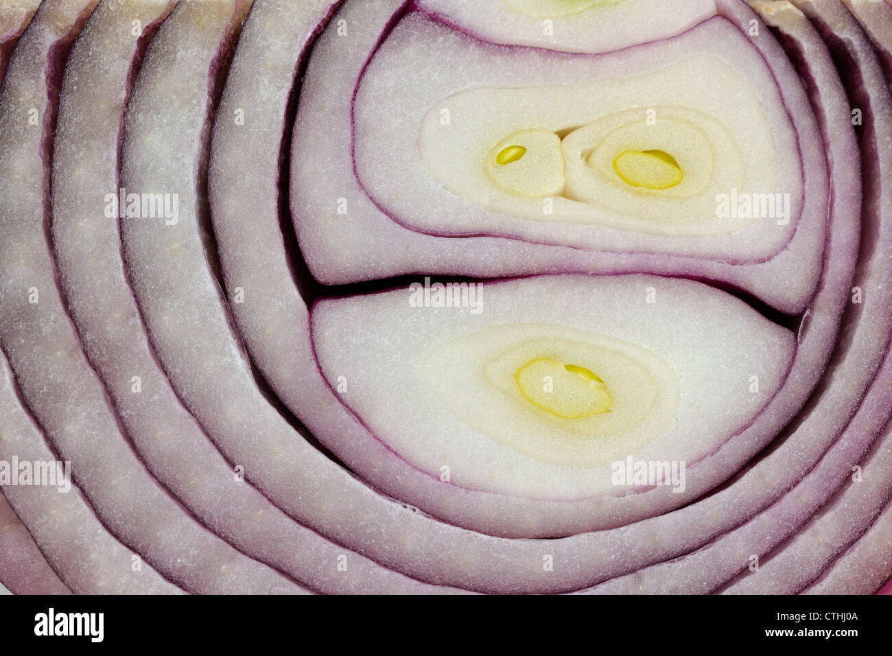 Red onion, sliced to reveal internal structure, Greater Sudbury ...