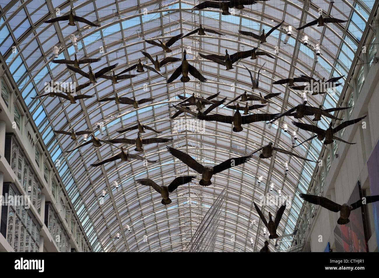 Sculptured birds hanging from the glass ceiling, Eaton Centre, Toronto ...