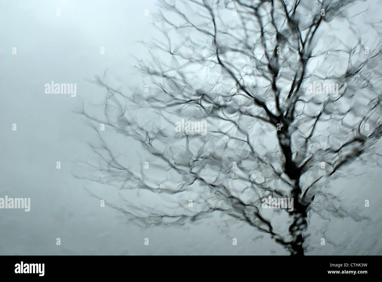 Sad Tree Through Rainy Windshield Stock Photo - Alamy