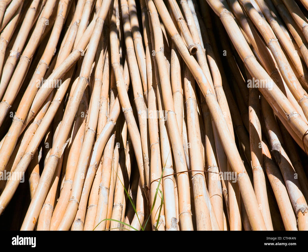 Reed sheaves hi-res stock photography and images - Alamy