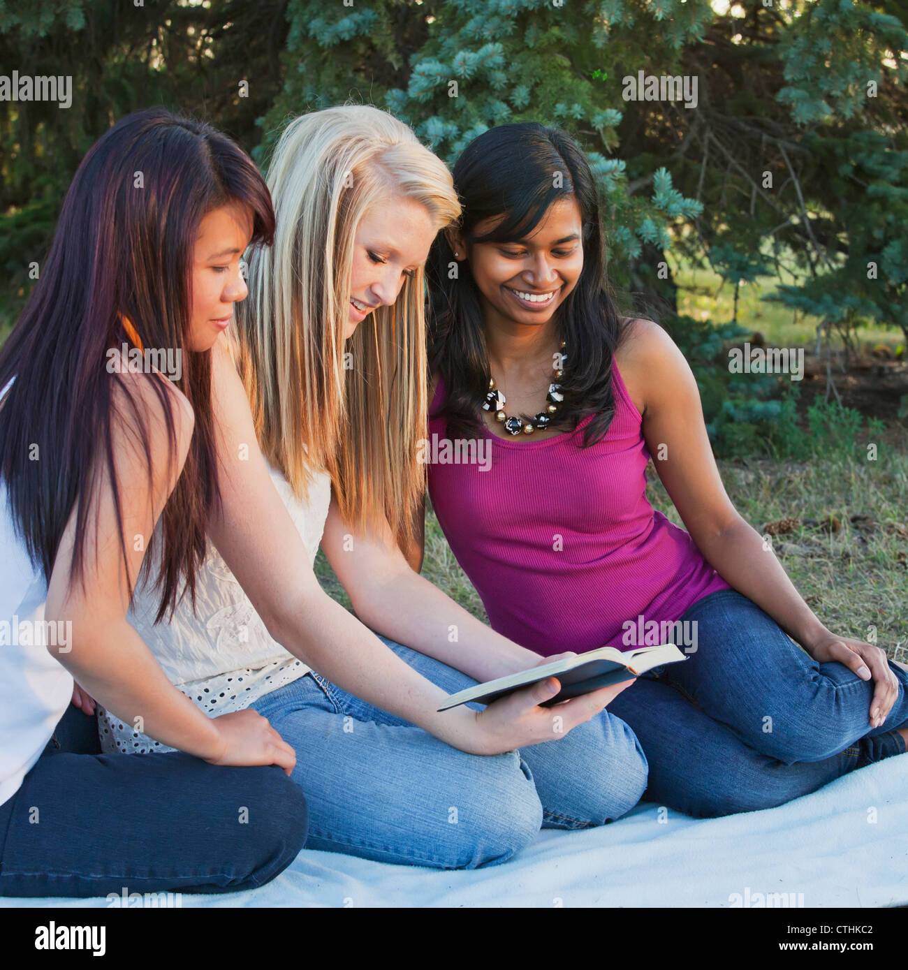 Friends Reading The Bible Together In A Park; Edmonton, Alberta, Canada ...