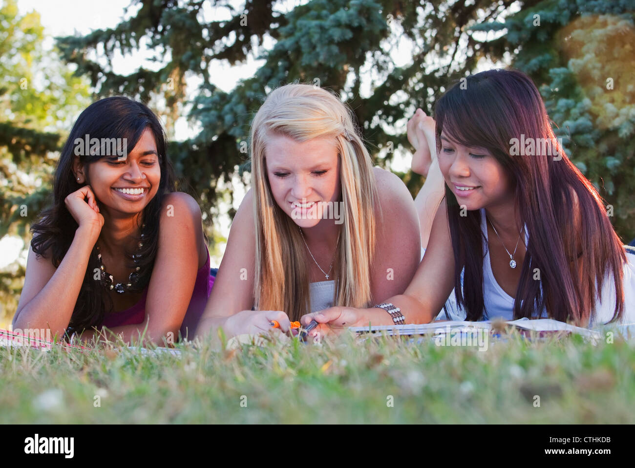 Friends Doing Homework Together In A Park; Edmonton, Alberta, Canada ...