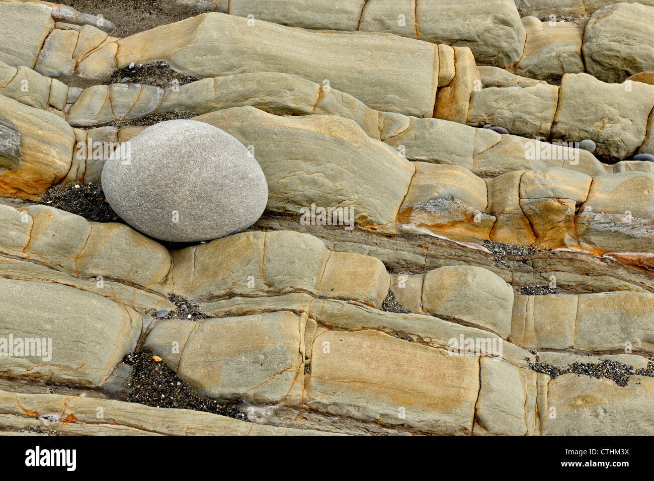 Polished rocks on Beach #4 at low tide, Olympic National Park ...