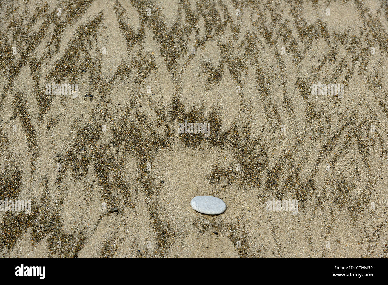 Sand patterns and polished rocks on Beach #4 at low tide, Olympic ...