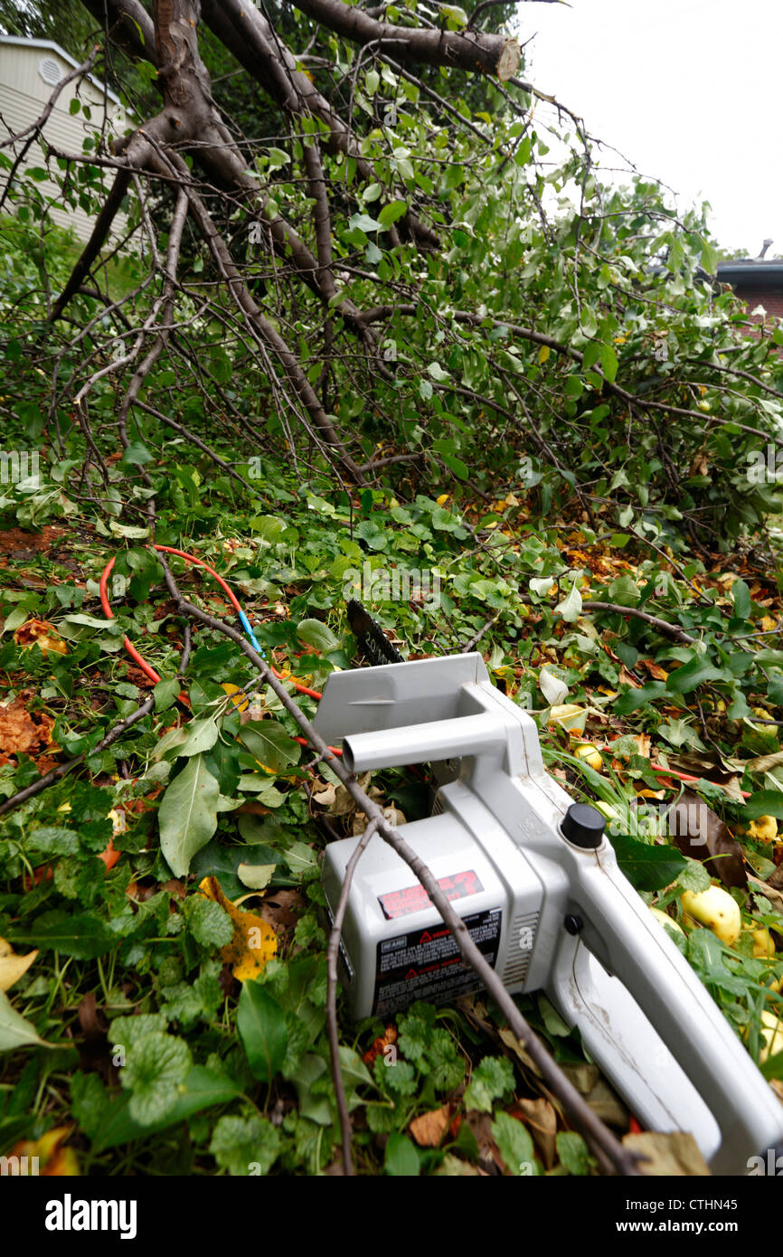 Electric chainsaw on leafy ground with a fallen tree in background ...