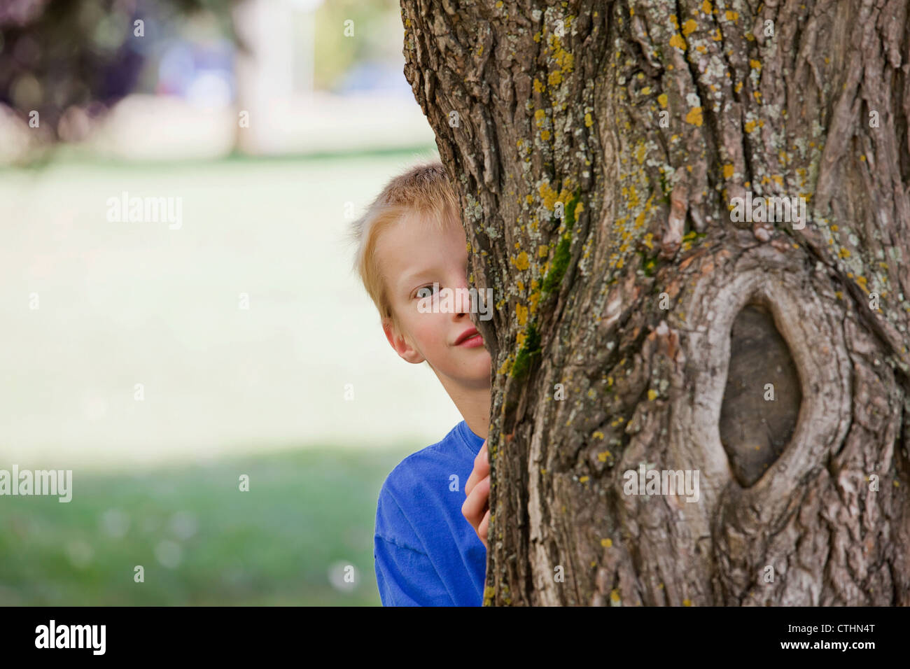 A Boy Hiding Behind A Tree In A Park; Edmonton, Alberta, Canada Stock ...